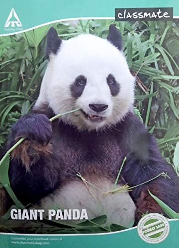 Classmate Pulse 6 Subject Spiral Notebook - Pack of 1 | Single Line ...