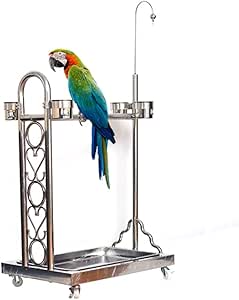 Amazon.com : Indoor/Outdoor Aviary Stainless Steel Parrot Rack Bird ...
