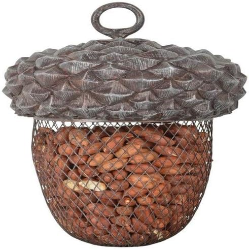Amazon.com : Esschert Acorn bird feeder Home Accent : Patio, Lawn & Garden