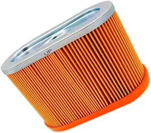 Amazon.com: STORIBADGE Genuine OEM Compatible with Generac AIR Filter ...