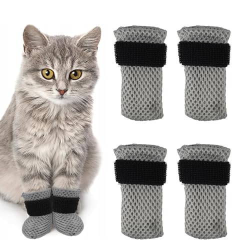 Cat Shoes – The 15 best products compared - Wild Explained