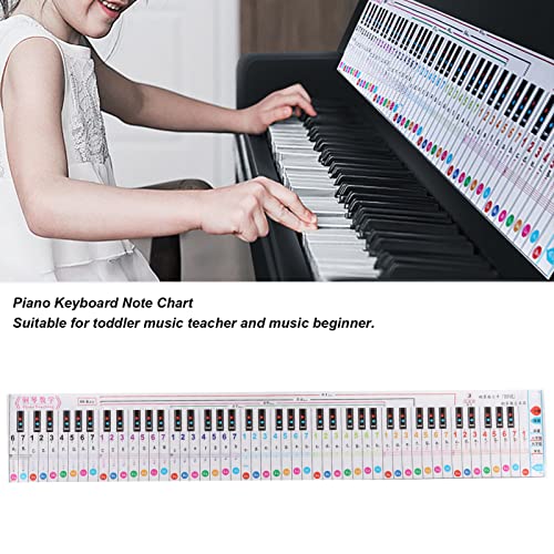 Snapklik.com : 88 Key Piano Keyboard Note Chart Color Coded Learning ...