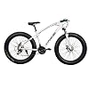 Buy F Cycles Steel 21 Gear Fat tyre Cycle (XL, White) Online at Low ...