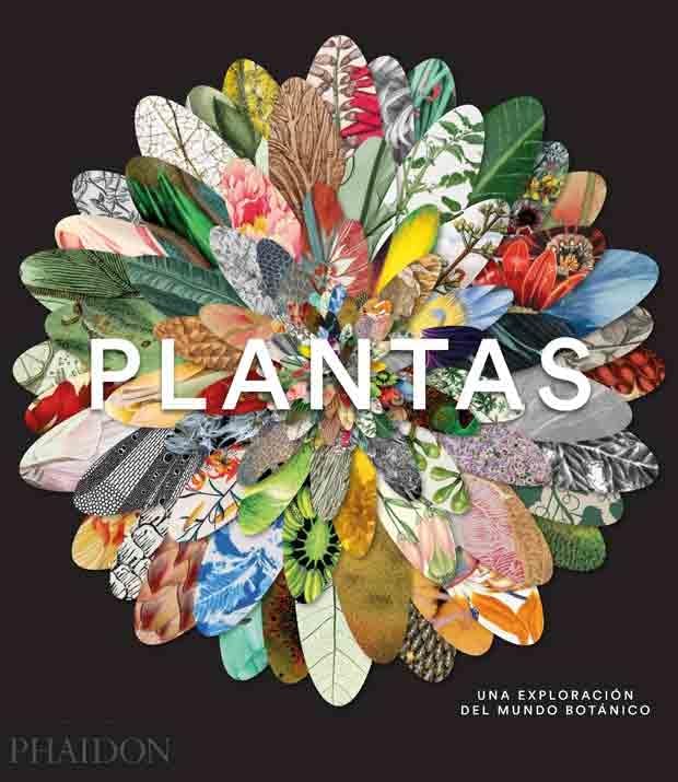 Plantas: Una exploración del Mundo Botánic (Plant: Exploring the ...