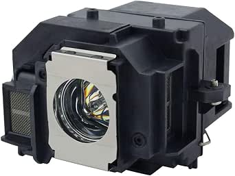 Amazon.com: Original Genuine V13H010L58 Replacement Projector Lamp Bulb ...