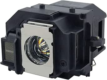 Amazon.com: Original Genuine V13H010L58 Replacement Projector Lamp Bulb ...