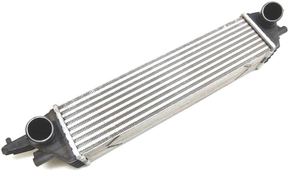 Amazon.com: Genuine OEM 28271-2C000 Intercooler / 282712C000 for ...