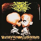 【発売日：2016年09月09日】・製造元:Rotten Cemetery Records