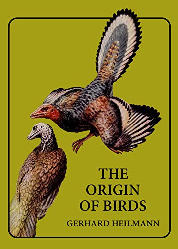 The Origin of Birds (English Edition) eBook : Heilmann, Gerhard: Amazon ...