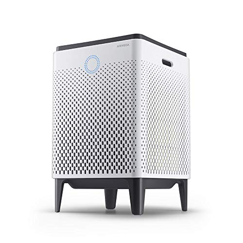 Best Air Purifiers for Large Rooms - RespectCareGivers