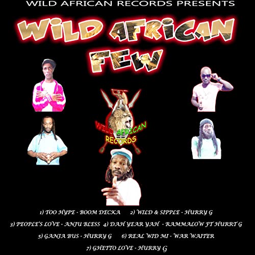 Amazon MusicでVARIOUS ARTISTSのWild African Fewを再生する