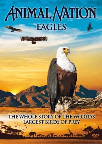 Animal Nation: Eagles - The Whole Story [DVD]: Amazon.co.uk: DVD & Blu-ray