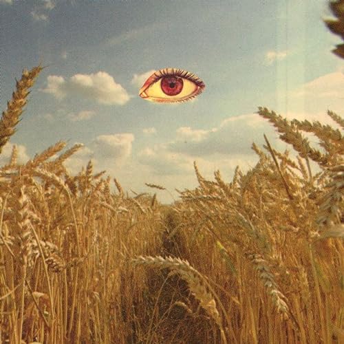 Amazon.co.jp: Haxixe 556 [Explicit] : Lil Felix: Digital Music