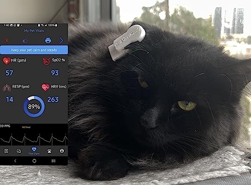 SensePet Cat: Cat Vital Signs & Wellness Monitor: Real-Time - Want It All