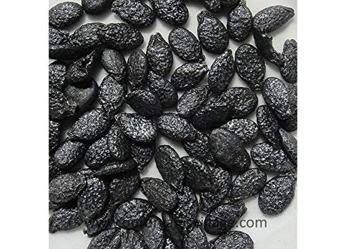 Ridge Gourd Seeds