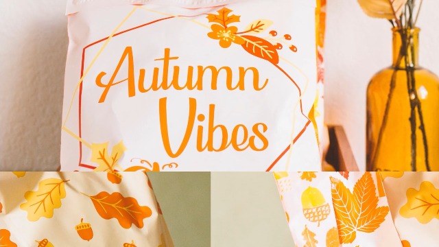 Watch Shop Inspired Mailers for Autumn Mailing Envelopes on Amazon Live