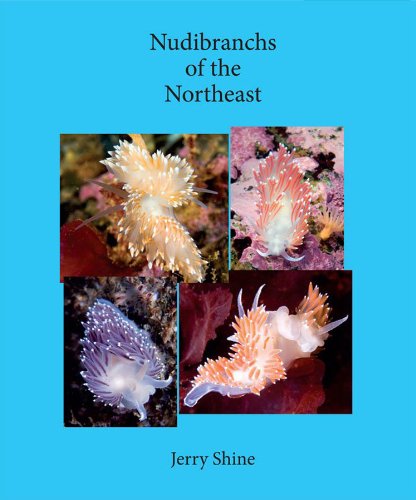 Nudibranchs of the Northeast: Jerry Shine: 9780615542003: Amazon.com: Books