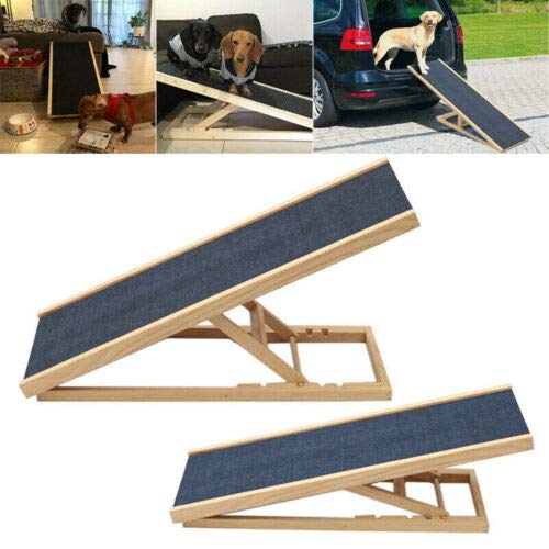 Leichte Hunderampe Furs Auto
