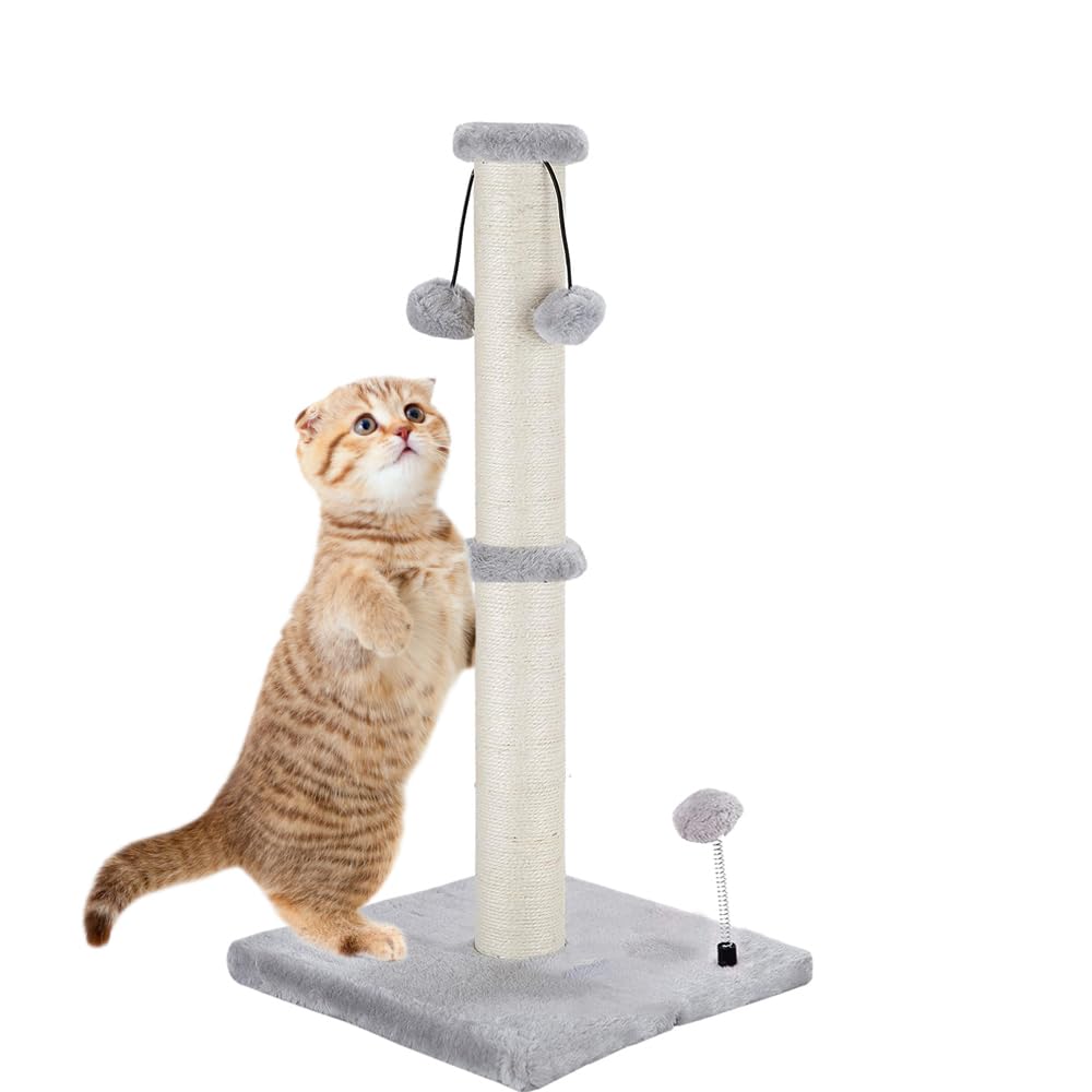 20" Cat Scratching Post for Indoor Cats Scratch Post Cat Scratcher for ...