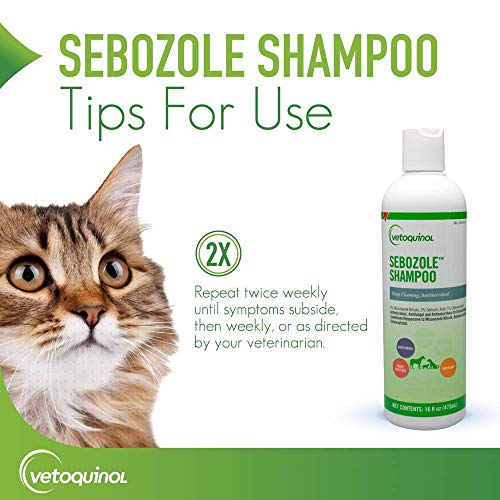 Buy Vetoquinol Sebozole Shampoo with Miconazole Nitrate 2% and ...
