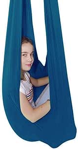 Amazon.com : BSFHQS Sensory Swing for Adults Therapy Swing for Kids ...