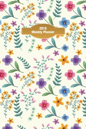 2018 Weekly Planner: 2018-2019 Weekly Monthly Daily Planner 6"x 9 ...
