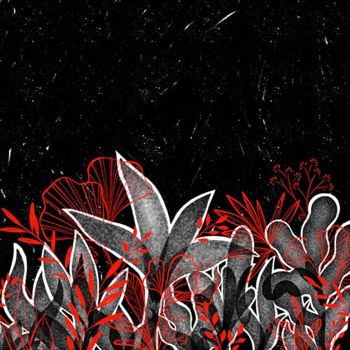 Stars and Sand de James Allsopp Group sur Amazon Music - Amazon.fr