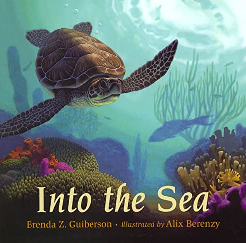 The Best Sea Turtle Books for Toddlers and Preschoolers