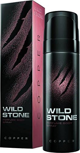 Amazon.com: Wild Stone Copper Body Spray - For Men (120 ml) : Home ...