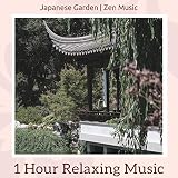 【発売日：2019年04月23日】・製造元:Deep Sleeping Music International