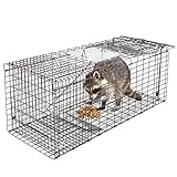The Best Raccoon Trap Options for Getting Rid Of Raccoons - How I Get ...