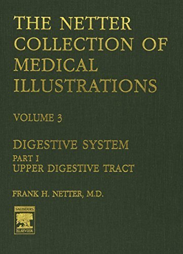 The Netter Collection of Medical Illustrations - Digestive System: Part ...