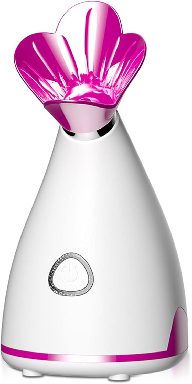 Amazon.com: CARUTU Portable Home Mini Facial Steamer, Nano Facial ...