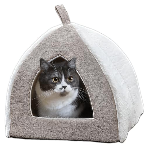 Cat Houses – The 15 best products compared - Wild Explained