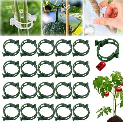 Amazon.com: Secured Plastic Plant Clips, 2024 Combinable Plant Support ...