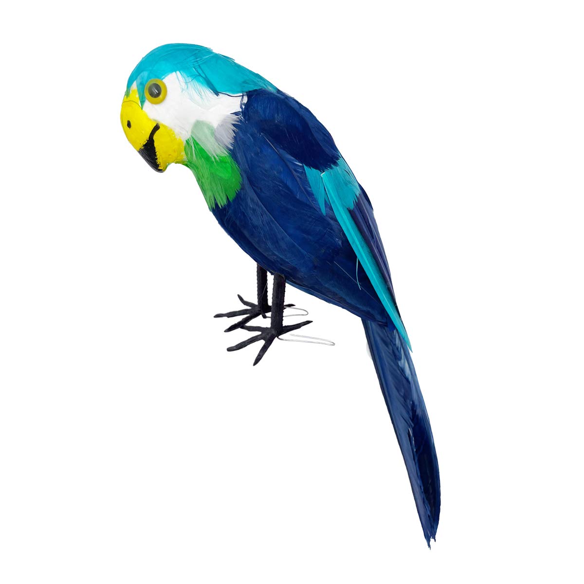 Pink And Blue Parrots