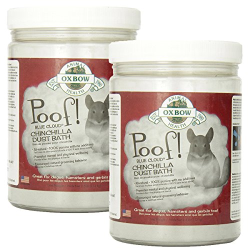 What Is The Best Dust For Chinchillas? (3 Best Options Compared)