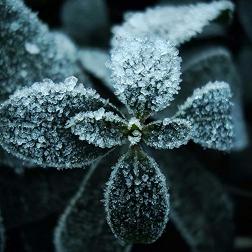 Total Relaxation Spa : Yoga Music, Deep Sleep and Spa: Amazon.es ...