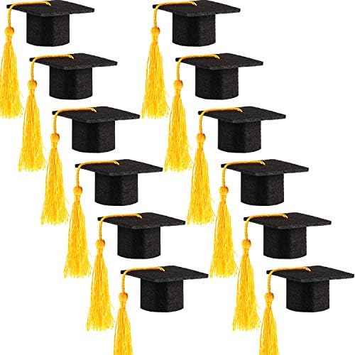Amazon.com: Hicarer 12 Pack 2024 Mini Graduation Caps with tassels Grad ...