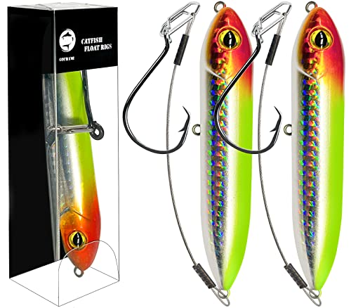 Snapklik.com : Catfish rig,Demon Dragon Catfish Floats,Santee Cooper ...