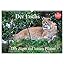 The lynx - The hunter on silent paws CA-Version (Wall Calendar 2026 DIN ...