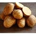 Amazon.com : Golden Yukon Nuggets Heirloom Potato Seed 3 LBS Virus Free ...