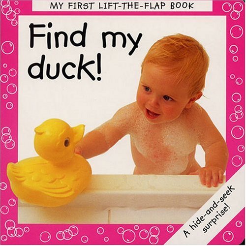 Amazon.com: Find My Duck!: 9781845073398: Debbie MacKinnon, Anthea ...