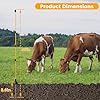 Amazon.com : Toriexon Fiberglass Fence Posts 46" - 20 PCS, Step in ...