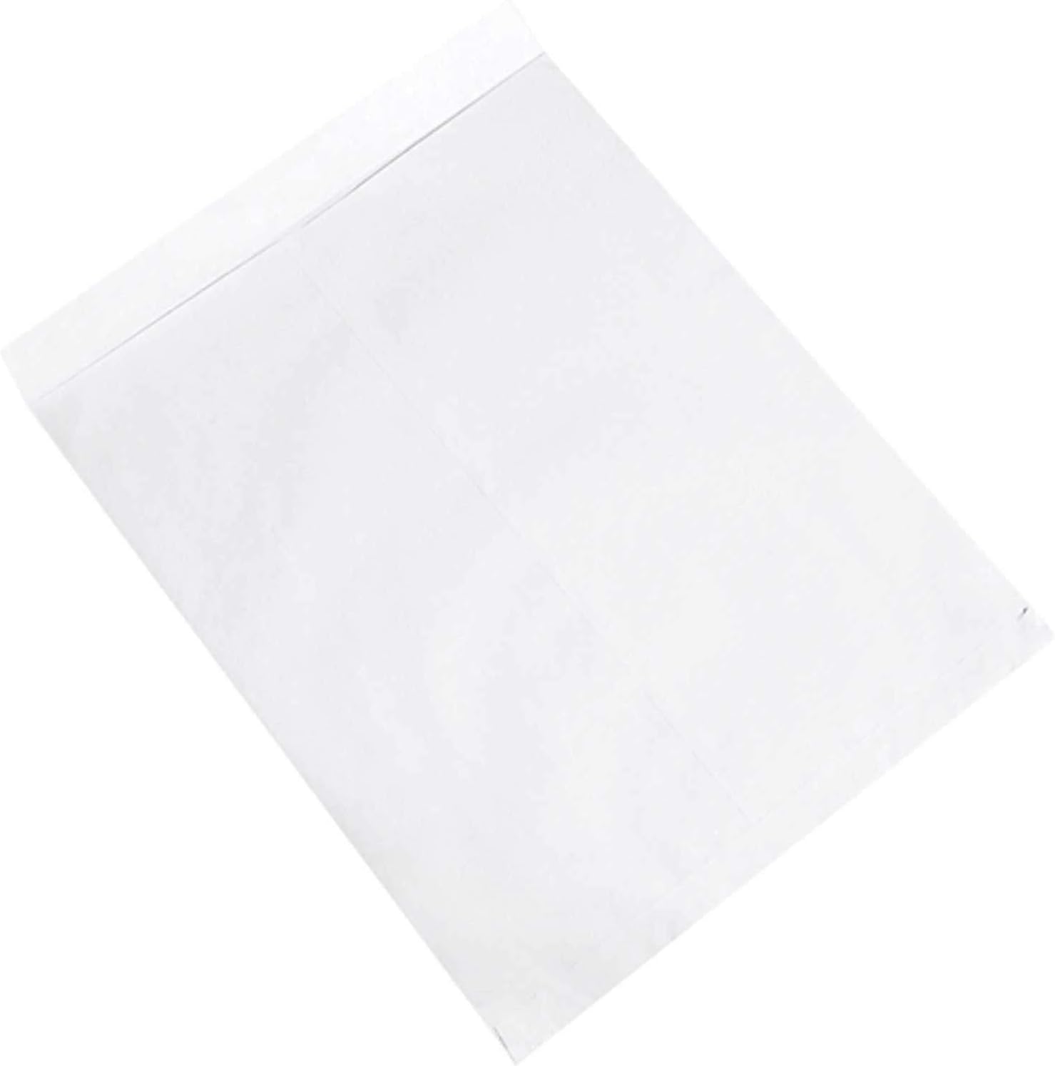 Amazon.com : Kraft Jumbo Envelopes, 22" x 27", 100 Pack, EN1086 ...