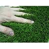 Amazon.com : 15'x2' - 54 Oz. Face Weight/26 Oz. Backing - PREMIUM ...