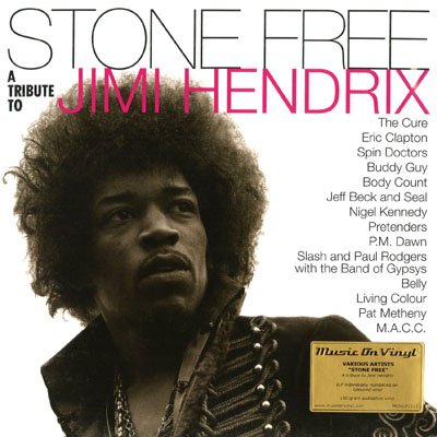 Stone Free: A Tribute To Jimi Hendrix - Amazon.com Music