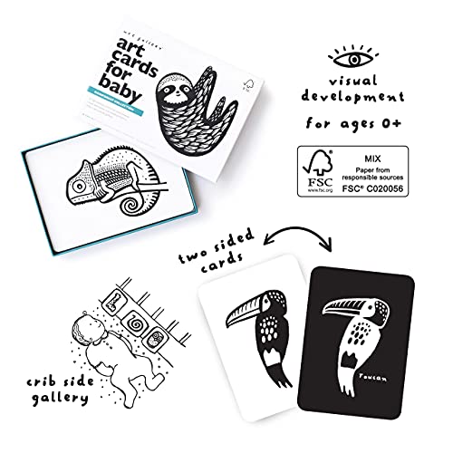 Snapklik.com : Wee Gallery Black And White Art Flash Cards For Babies ...