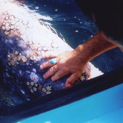 Play Faith by Mark Steven Hance on Amazon Music