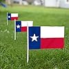 Amazon.com : Anley Texas State Mini Flag 12 Pack - Hand Held Small ...
